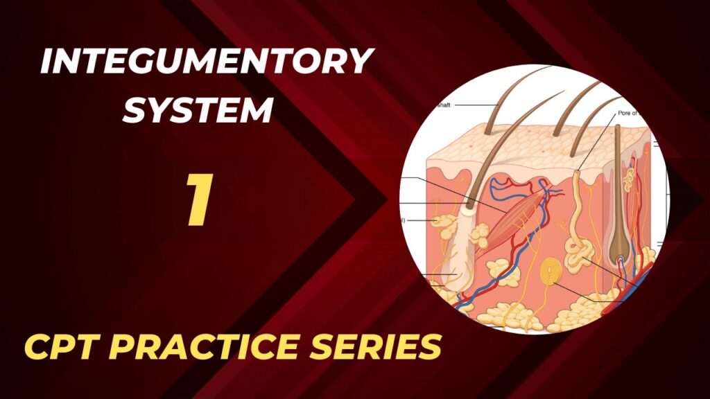 CPT Question Practice Series-1 Integumentary System - Medical Coding