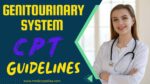Genitourinary System CPT Guidelines - Medical Coding