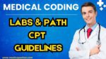 Labs and Path CPT Guidelines - Medical Coding